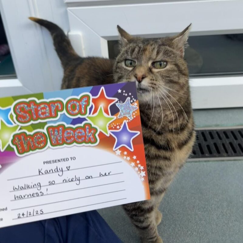 About Us - RSPCA Coventry