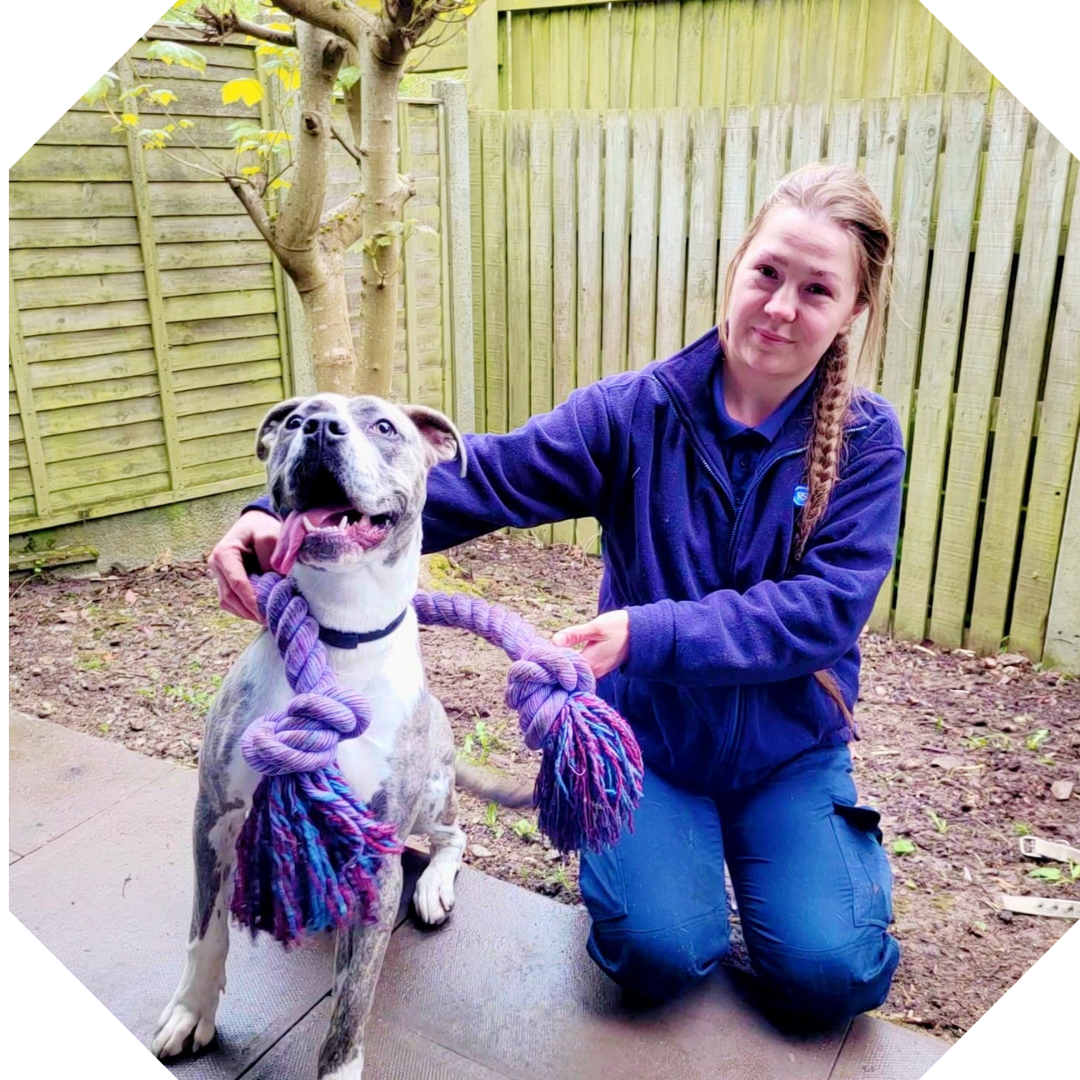 Vacancies - RSPCA Coventry